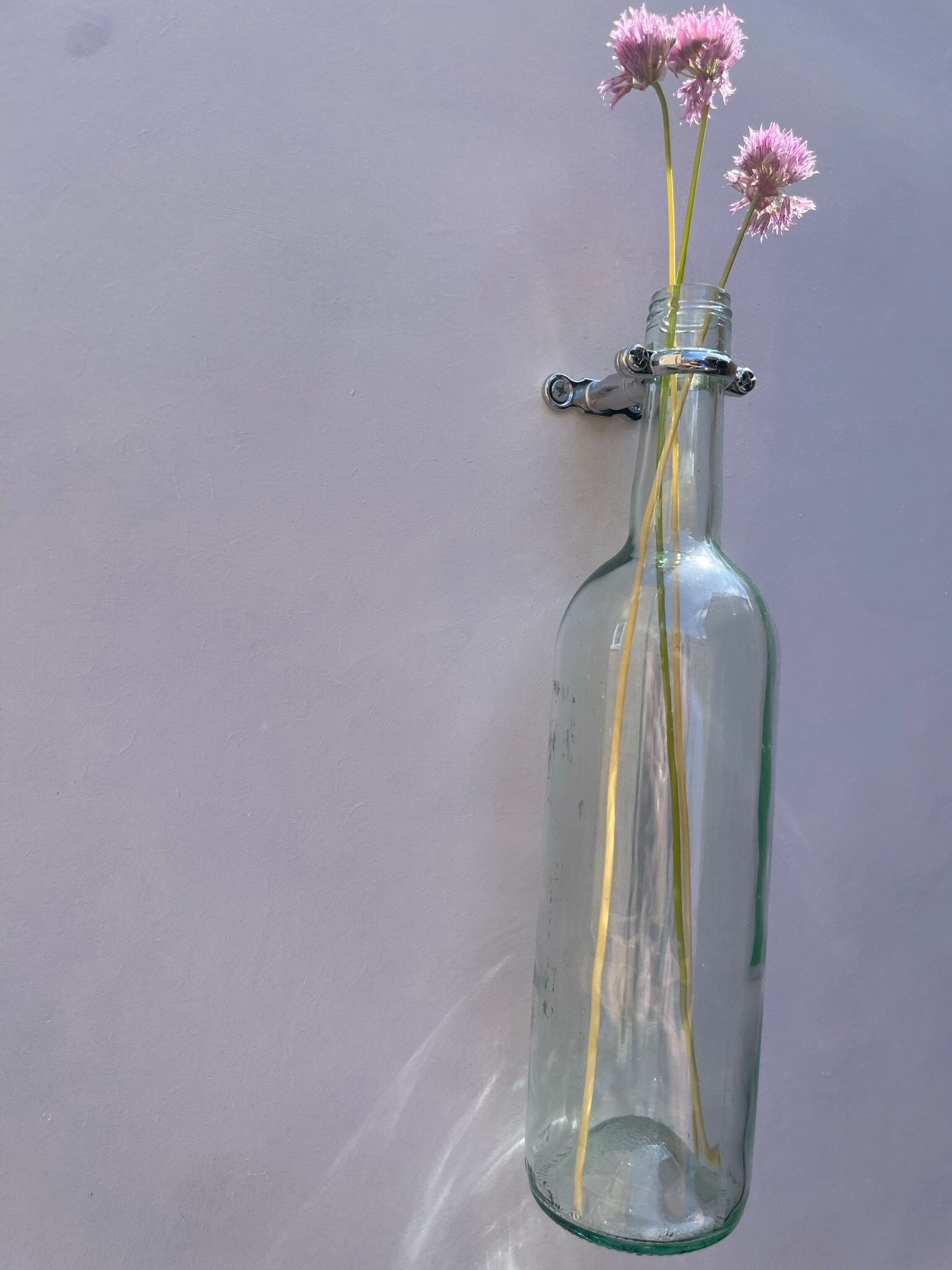 Floating Chrome Plated Solid Brass Bottle Hangers for Feature Wall ...