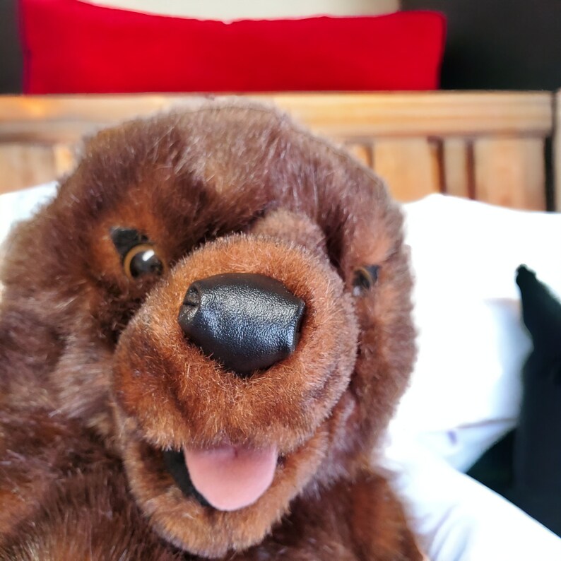 Disney Brown Grizzly Bear Plush Puppet Hidden Mickey Paws Stuffed ...