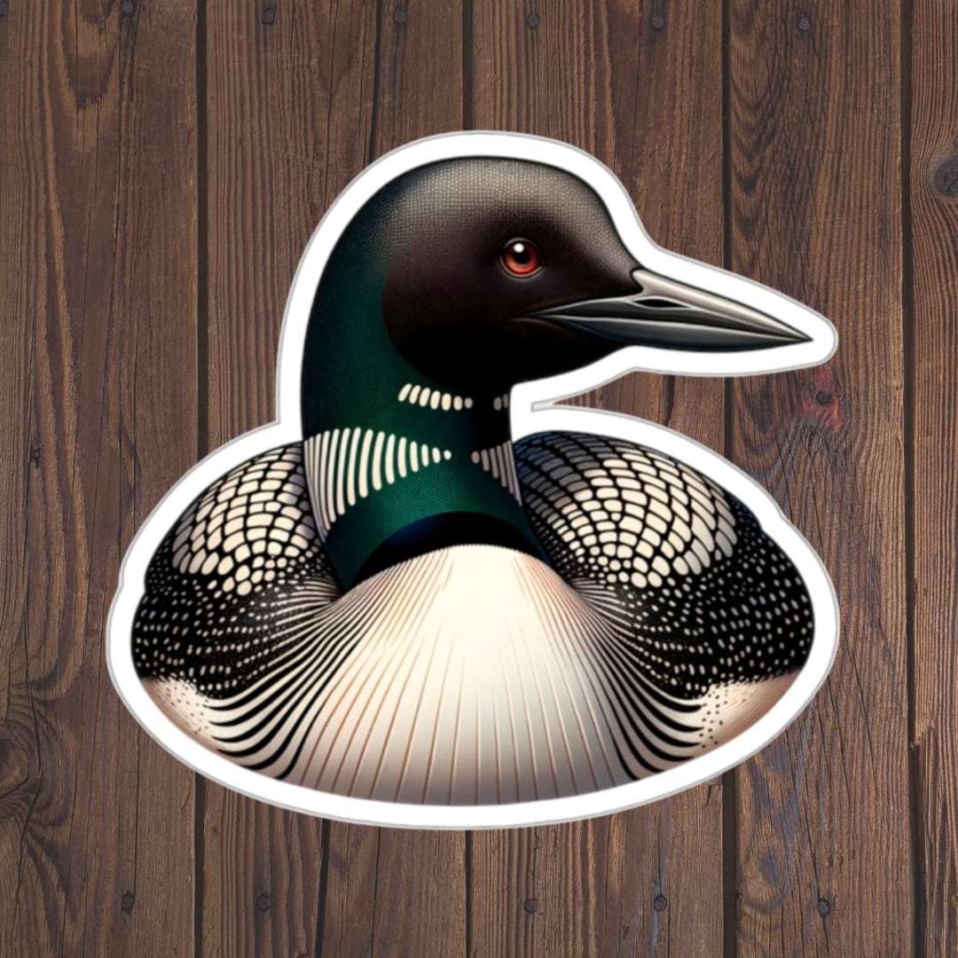 Common Loon Sticker, Loon Car Decal, Loon Sticker, Common Loon Water ...