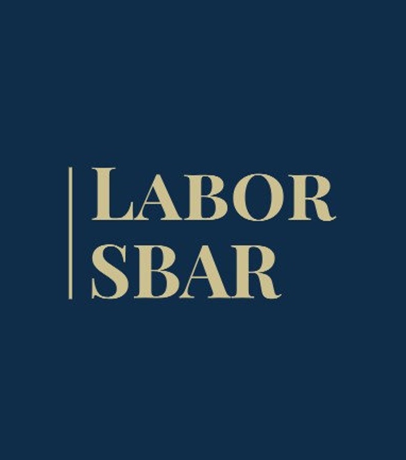 Labor and Delivery Report Sheet SBAR - Etsy