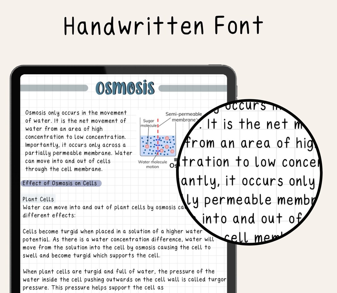 Handwritten Font, Font for Digital Notes and Digital Planning ...