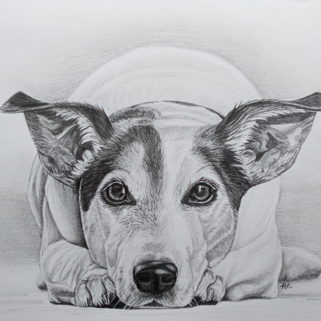 Custom Pet Portraits: Personalized Hand-drawn Pencil or Charcoal ...