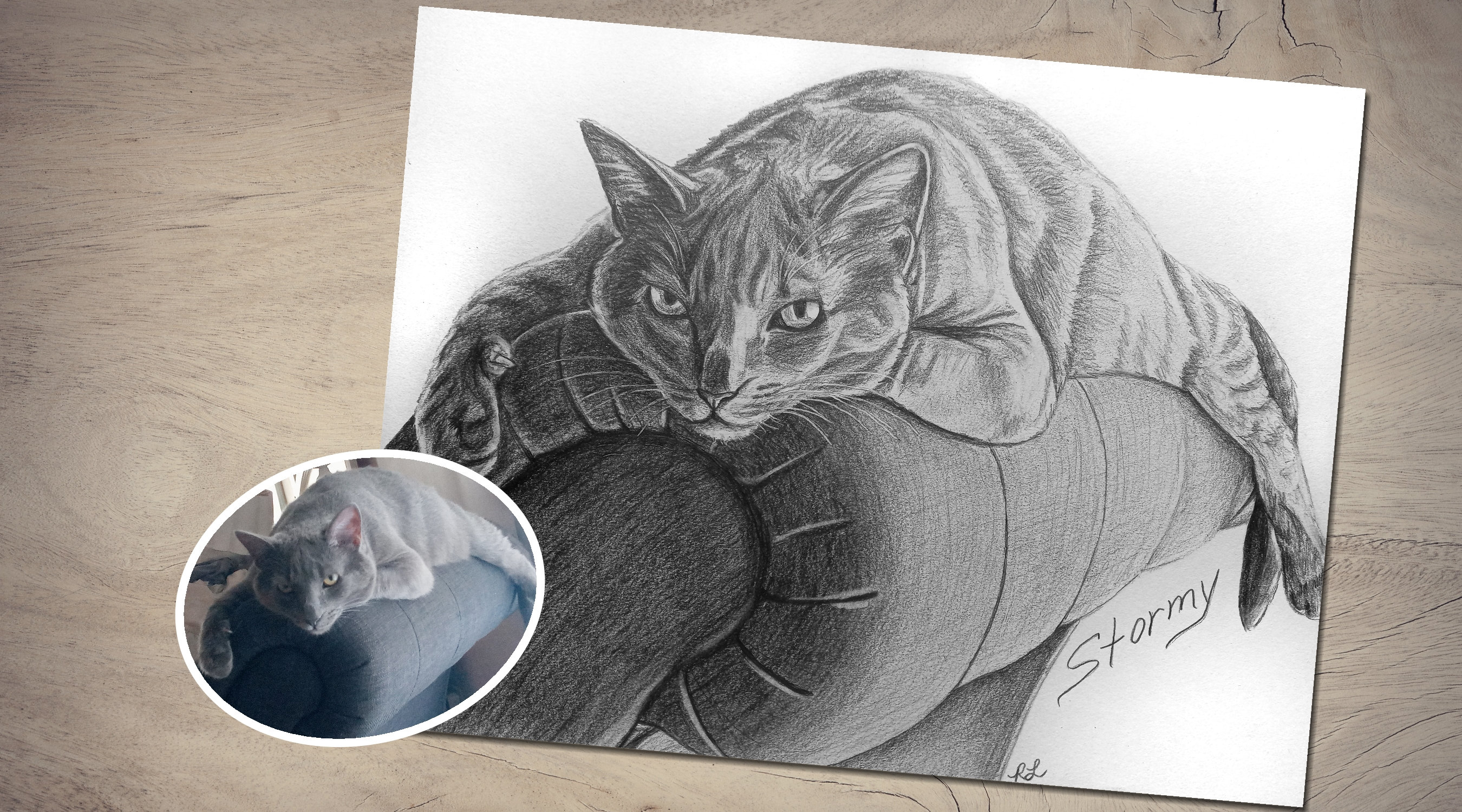 Pet Portrait Custom Pencil or Charcoal Pet Loss Gift Dog Portrait Pet ...