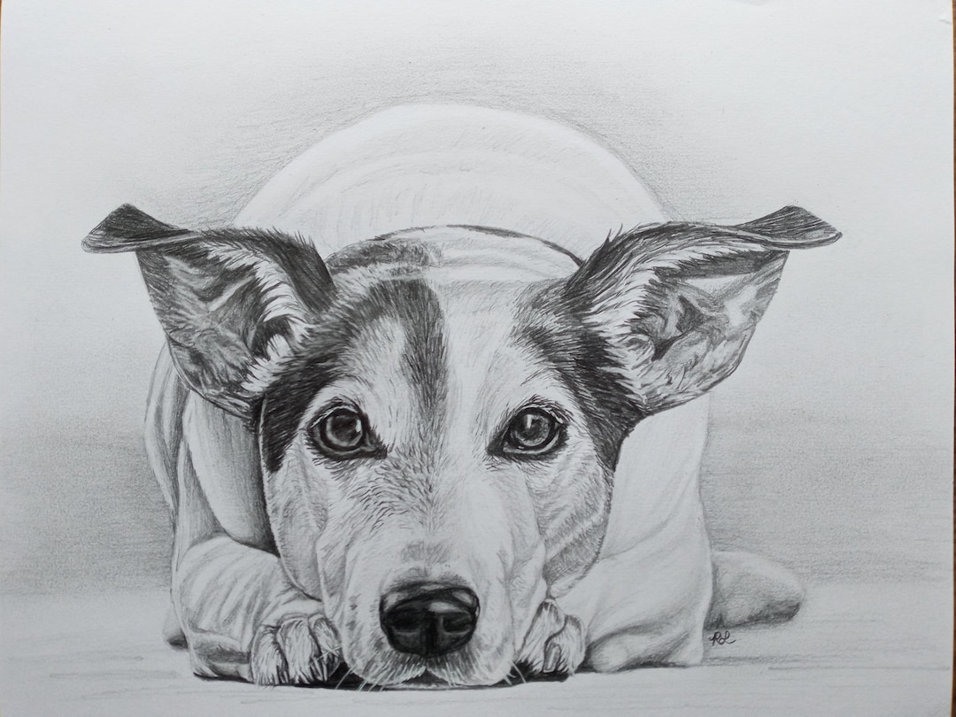 Custom Pet Portraits: Personalized Hand-drawn Pencil or Charcoal ...