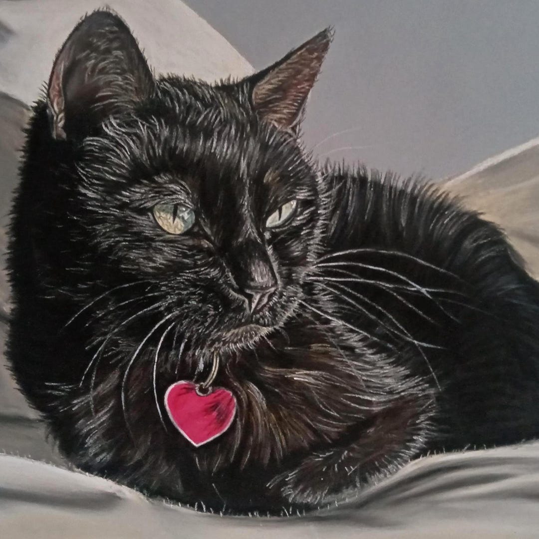 Custom Pet Portrait: Hand-drawn Colored Pencil or Pastel Animal Drawing ...