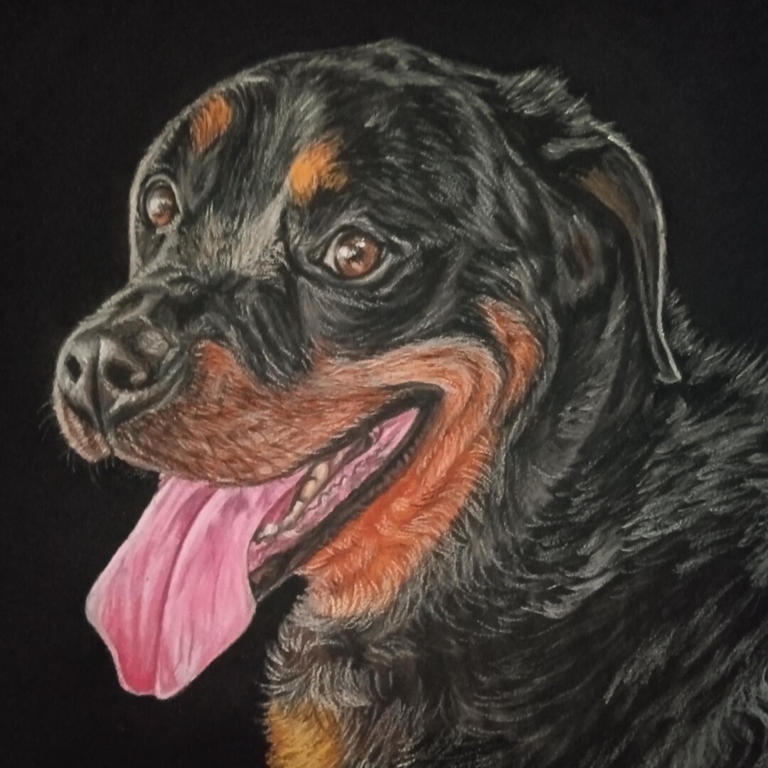 Custom Pet Portraits: Personalized Hand-drawn Colored Pencil and Pastel ...