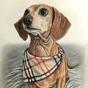 Custom Pet Portrait: Hand-drawn Colored Pencil or Pastel Animal Drawing ...