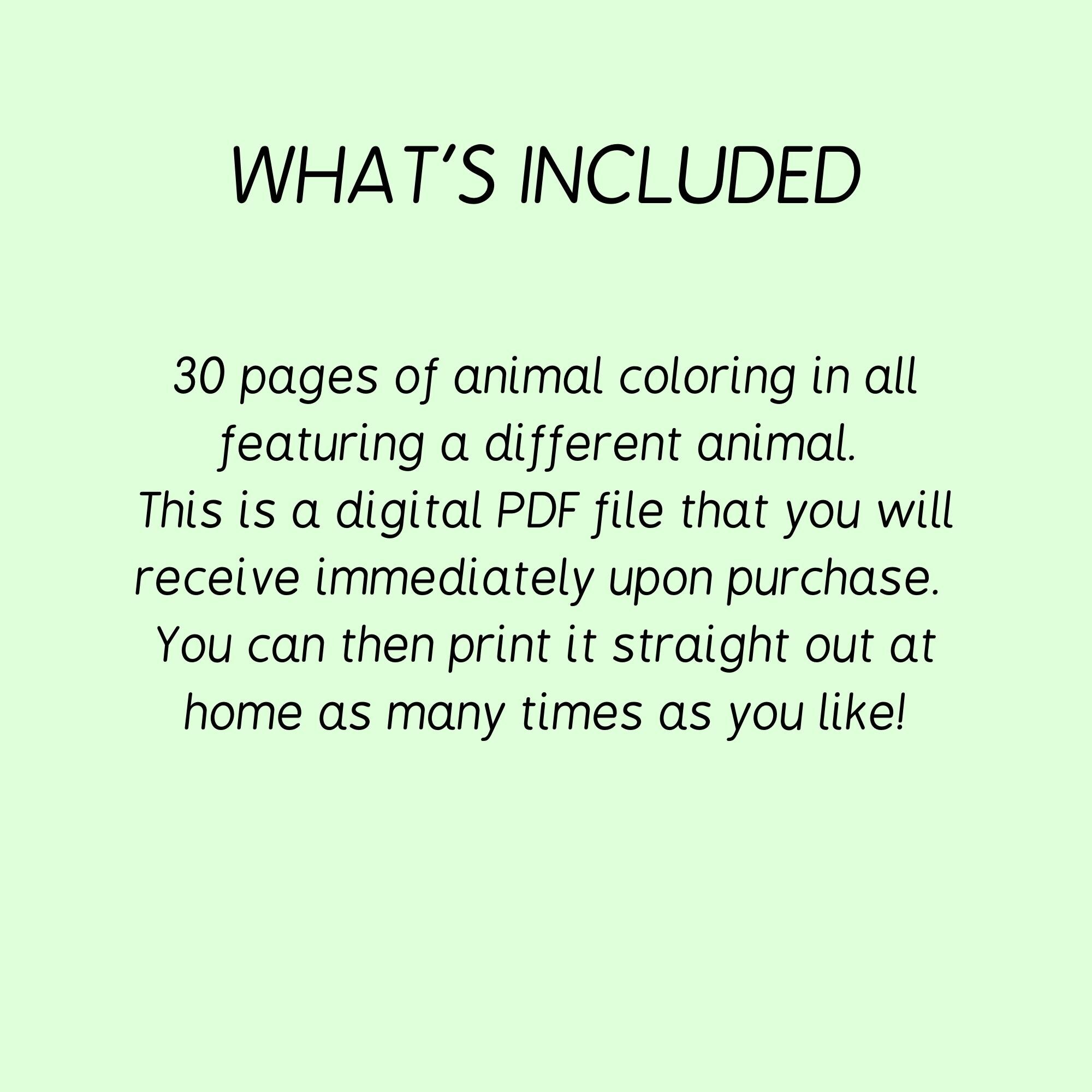 30 Animals Coloring in Pages for Kids | Preschool Worksheet | Printable ...