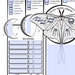 Digitally Editable Dnd Lunar Moth Character Sheets - Etsy