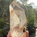 Phantom Crystal Quartz( Growth and Enlightenment) Phantom Crystal ...
