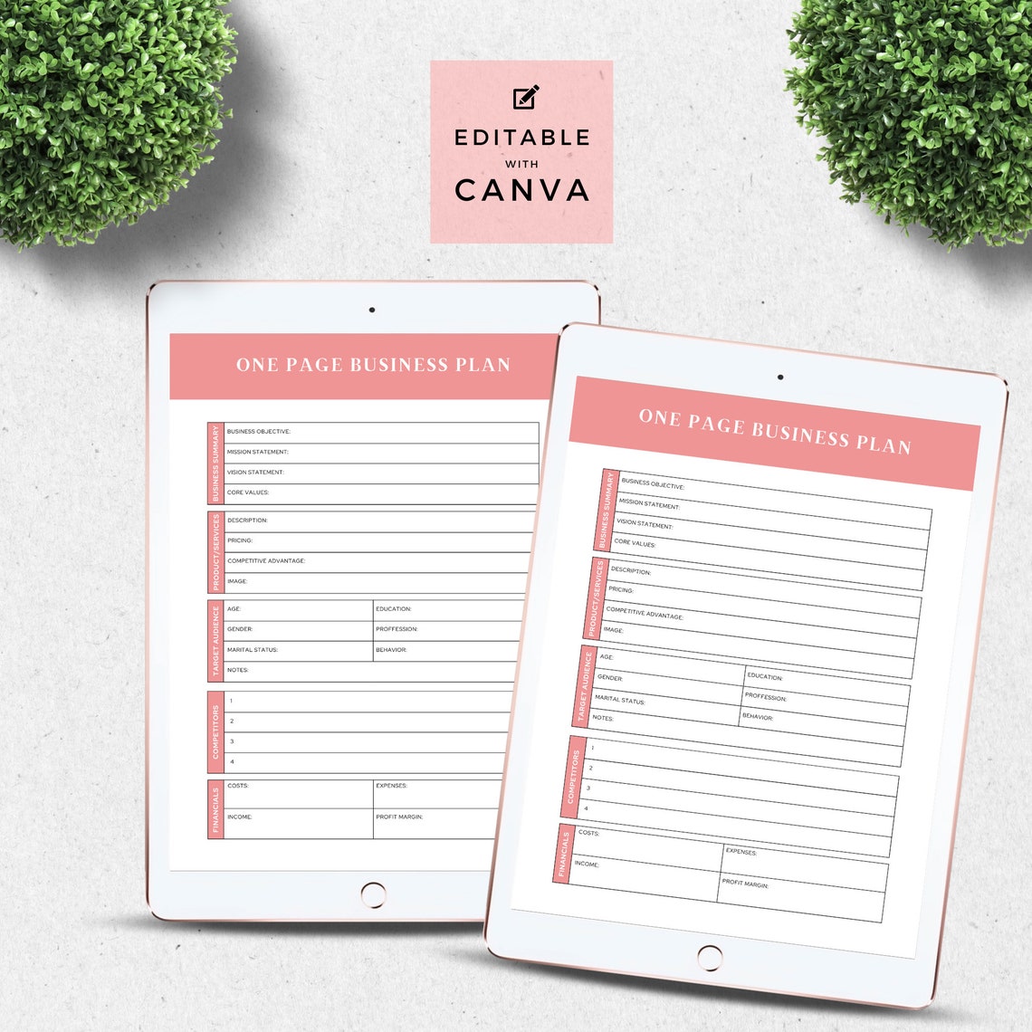 One Page Business Plan Template Business Planning Digital Download One Page Strategic Plan ...