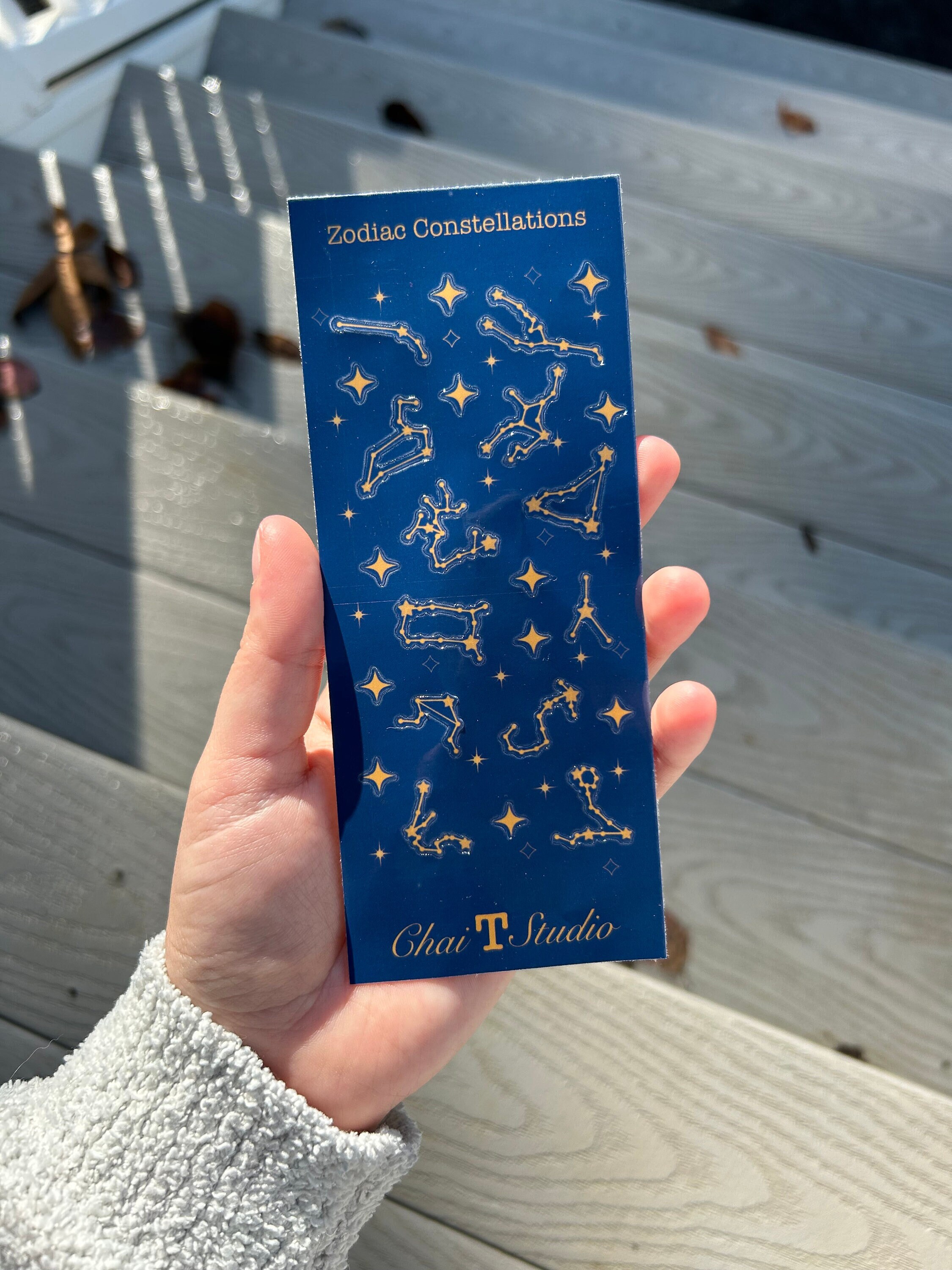 Zodiac Constellations Sticker Sheet - Etsy