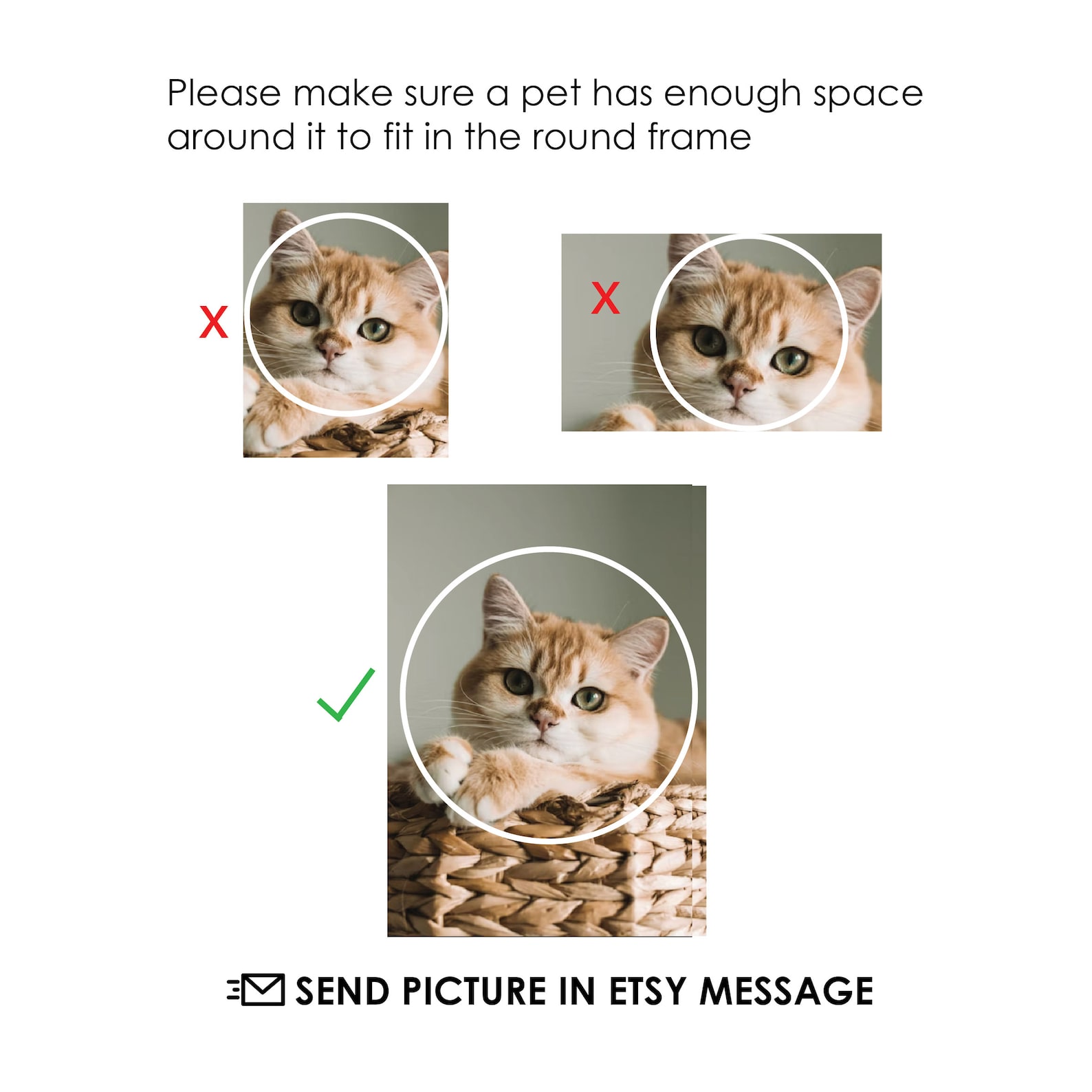 Personalized Rat Memorial Stone, Garden Stone, With Picture, Memorial ...