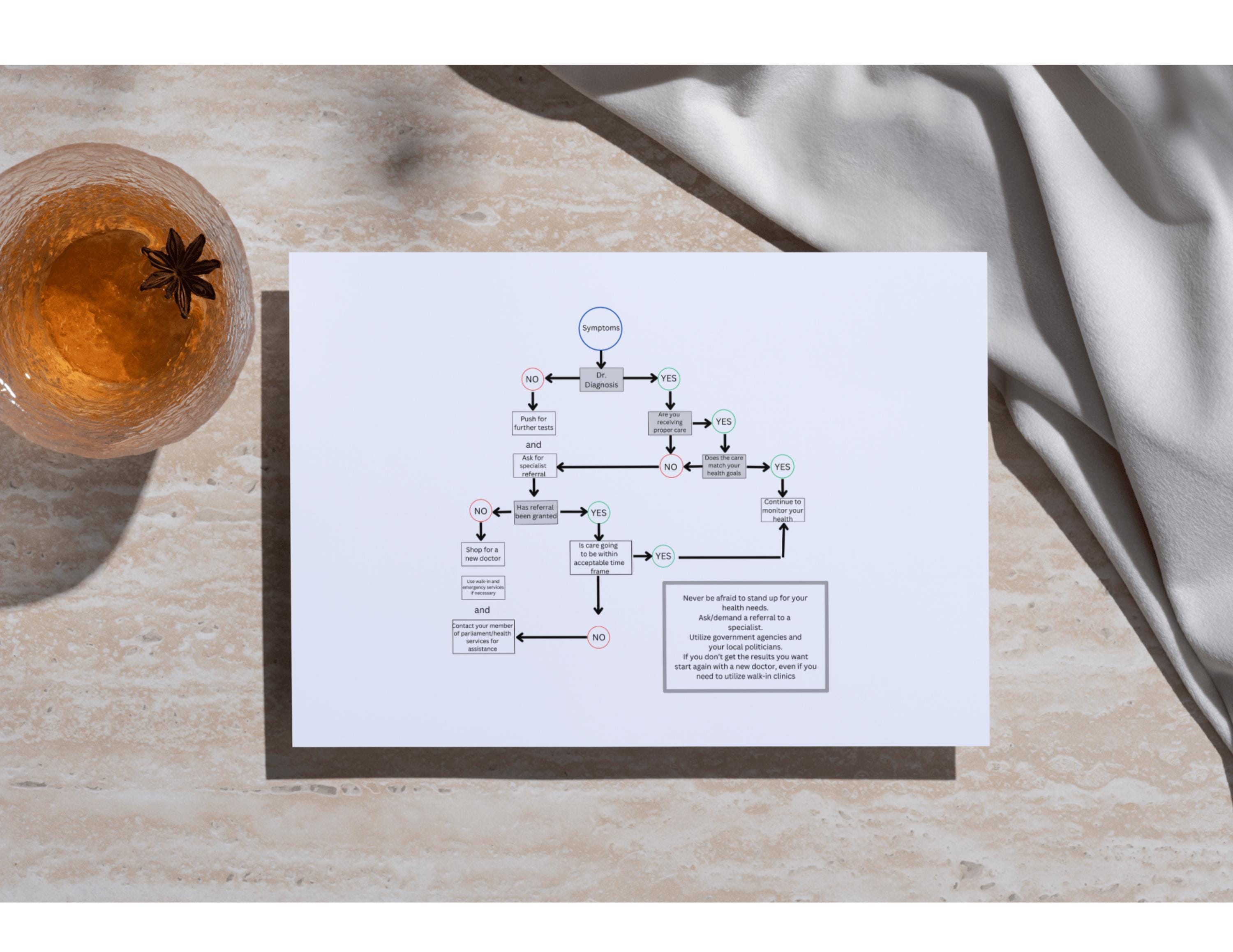 Chronic Health Care Flow Chart, Guide to Health Care, Assistance With ...