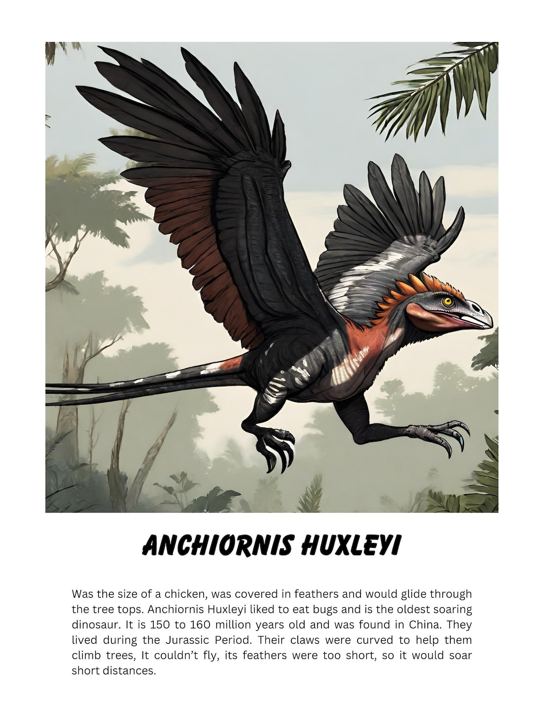 Anchiornis Huxleyi Dinosaur, Learn About Dinosaurs, Educational and Fun ...