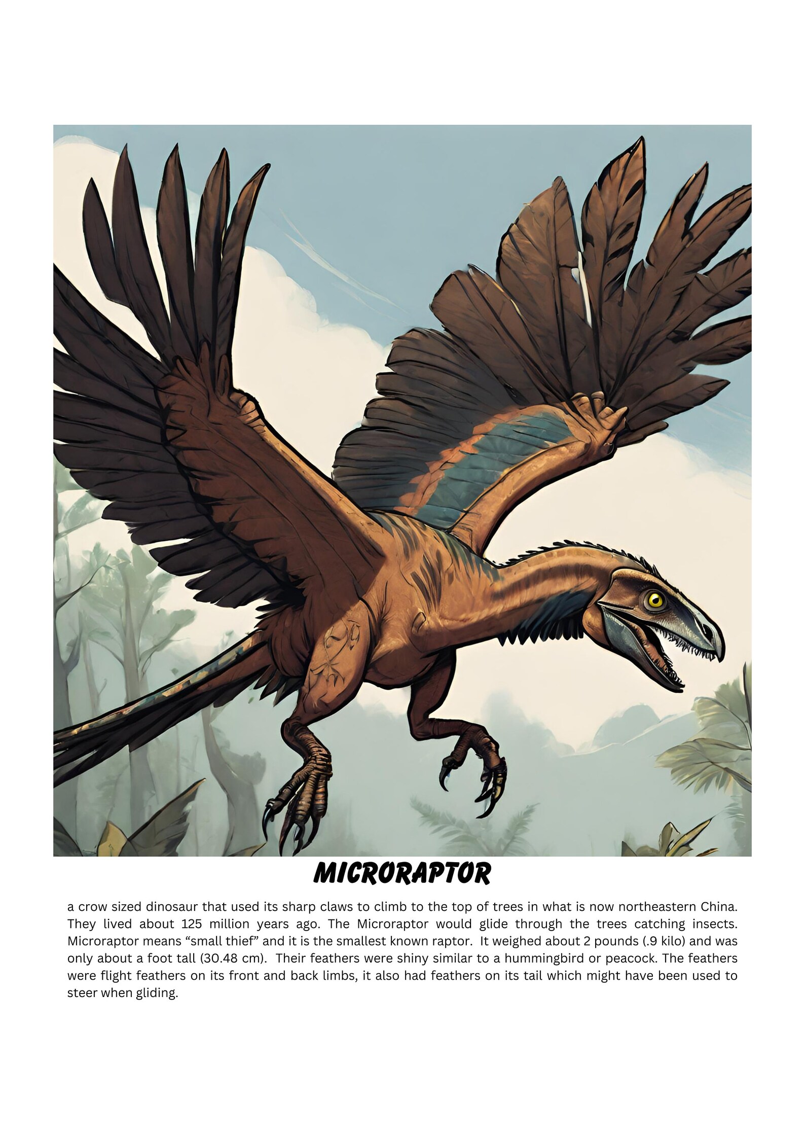 Microraptor Dinosaur, Dinosaur Education and Fun, Dinosaur Posters, Dino Downloads, Dinos for ...