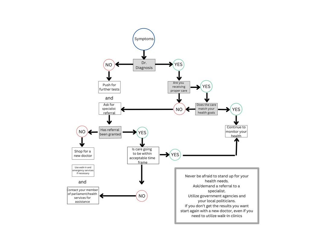 Chronic Health Care Flow Chart, Guide to Health Care, Assistance With ...
