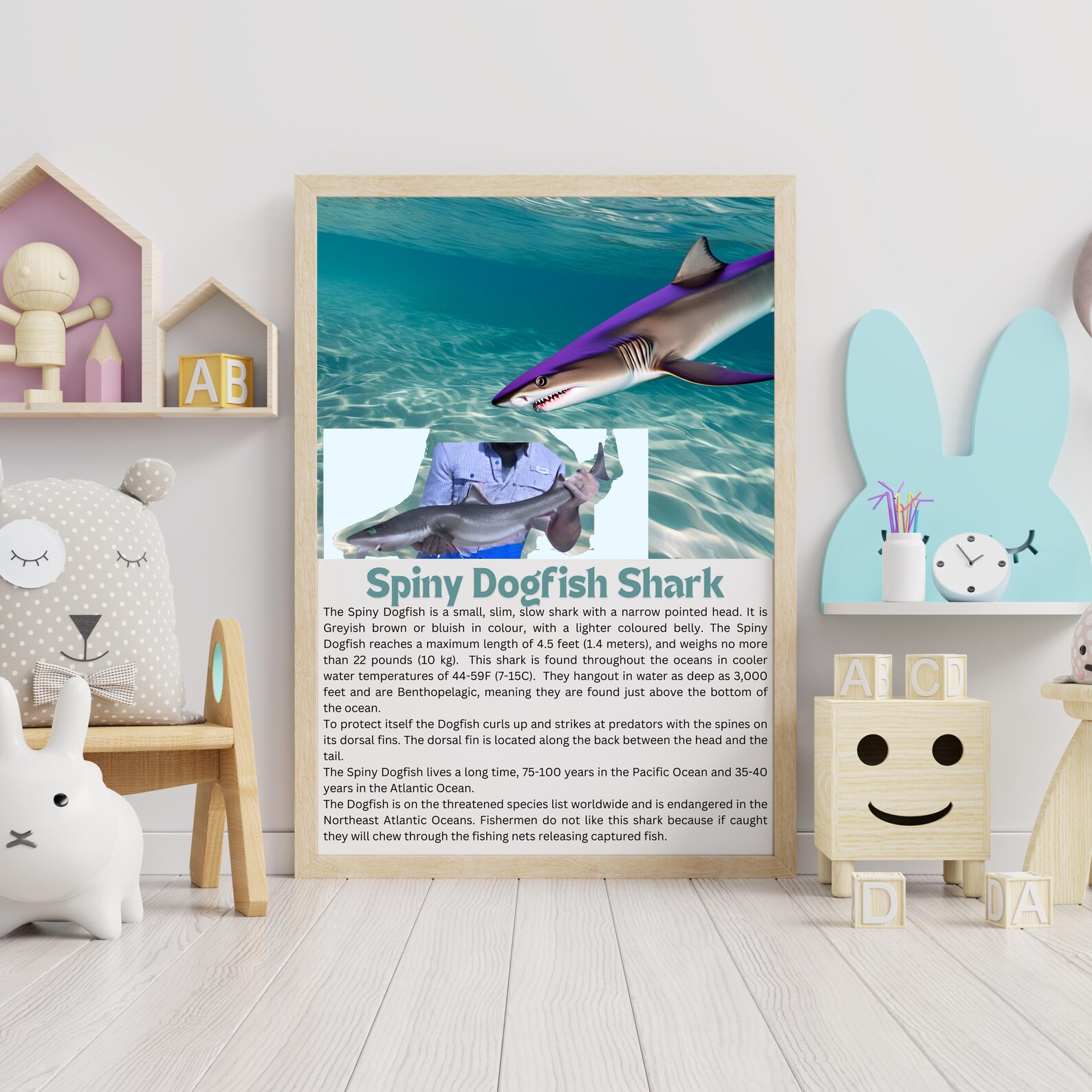 Spiny Dog Fish Shark, Small Sharks, Dog Fish Sharks, Fun and ...