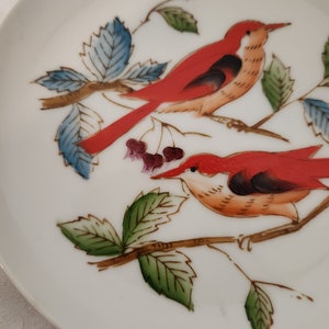 Vintage Japanese Mid-century Hand Painted Red Birds Plate - Etsy