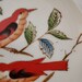 Vintage Japanese Mid-century Hand Painted Red Birds Plate - Etsy