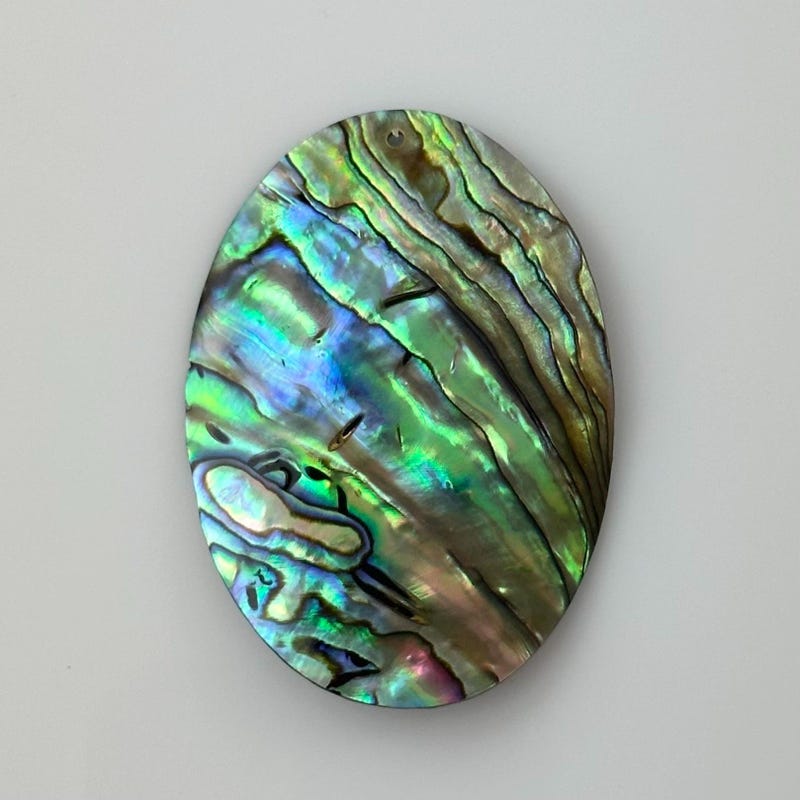 Blue Abalone Shell - Etsy