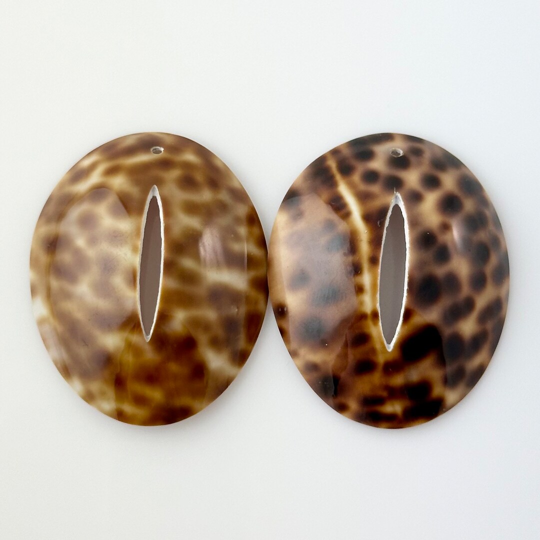 45x36mm Tiger Cowrie Shell for Pendant/earring Pair, Brown Tan Black ...