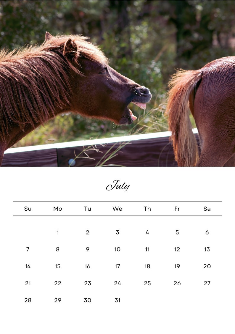 Assateague Wild Horses 2024 Calendar, Wild Horse Calendar, Horse ...