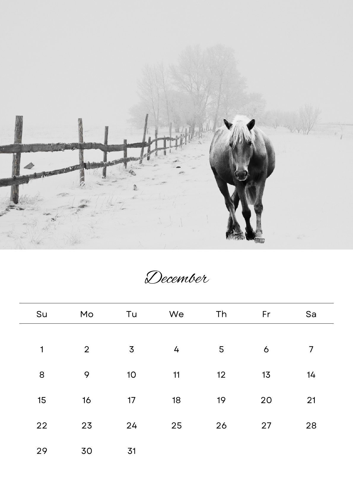 Assateague Wild Horses 2024 Calendar, Wild Horse Calendar, Horse ...