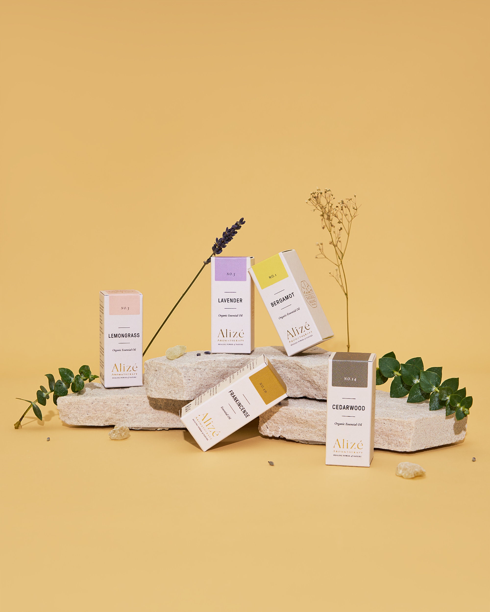 Alizé Lavender Essential Oil, USDA Certified Organic 100% Pure Natural Aromatherapy Oil ...