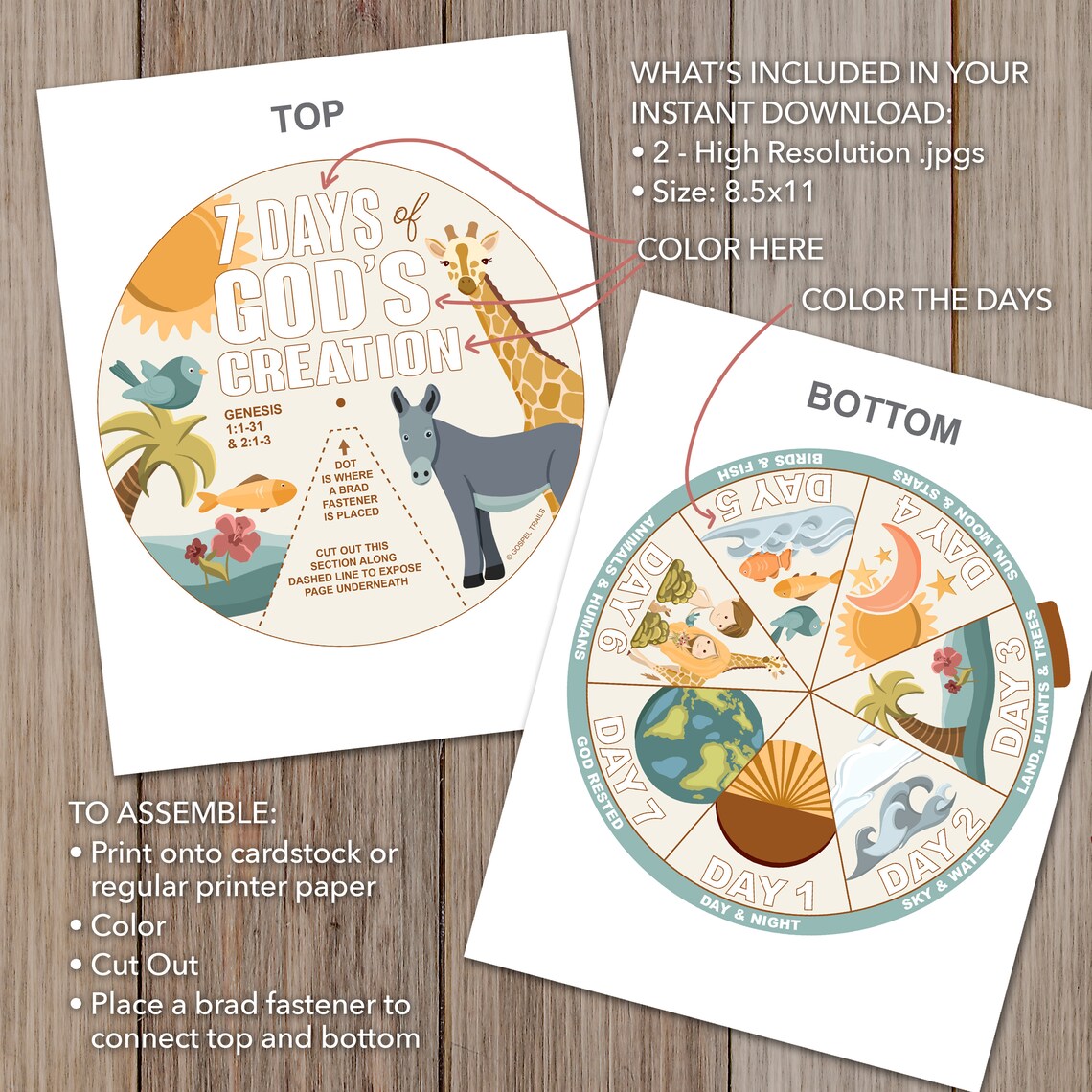 Days of Creation Bible Story Coloring Wheel, Printable Bible Activity ...
