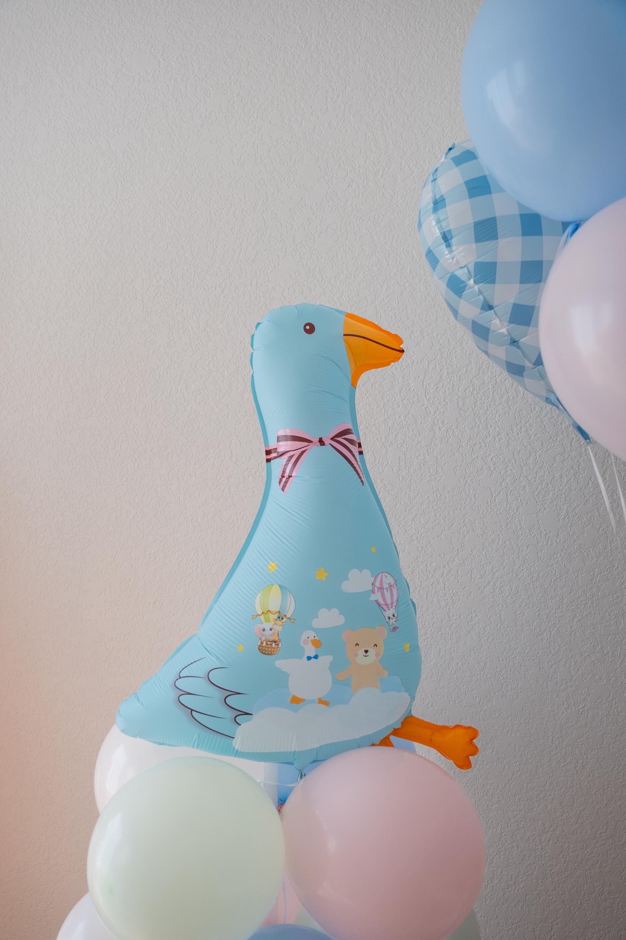 One Silly Goose Birthday Balloon Decor, 1st Birthday Arch, Cake Smash ...