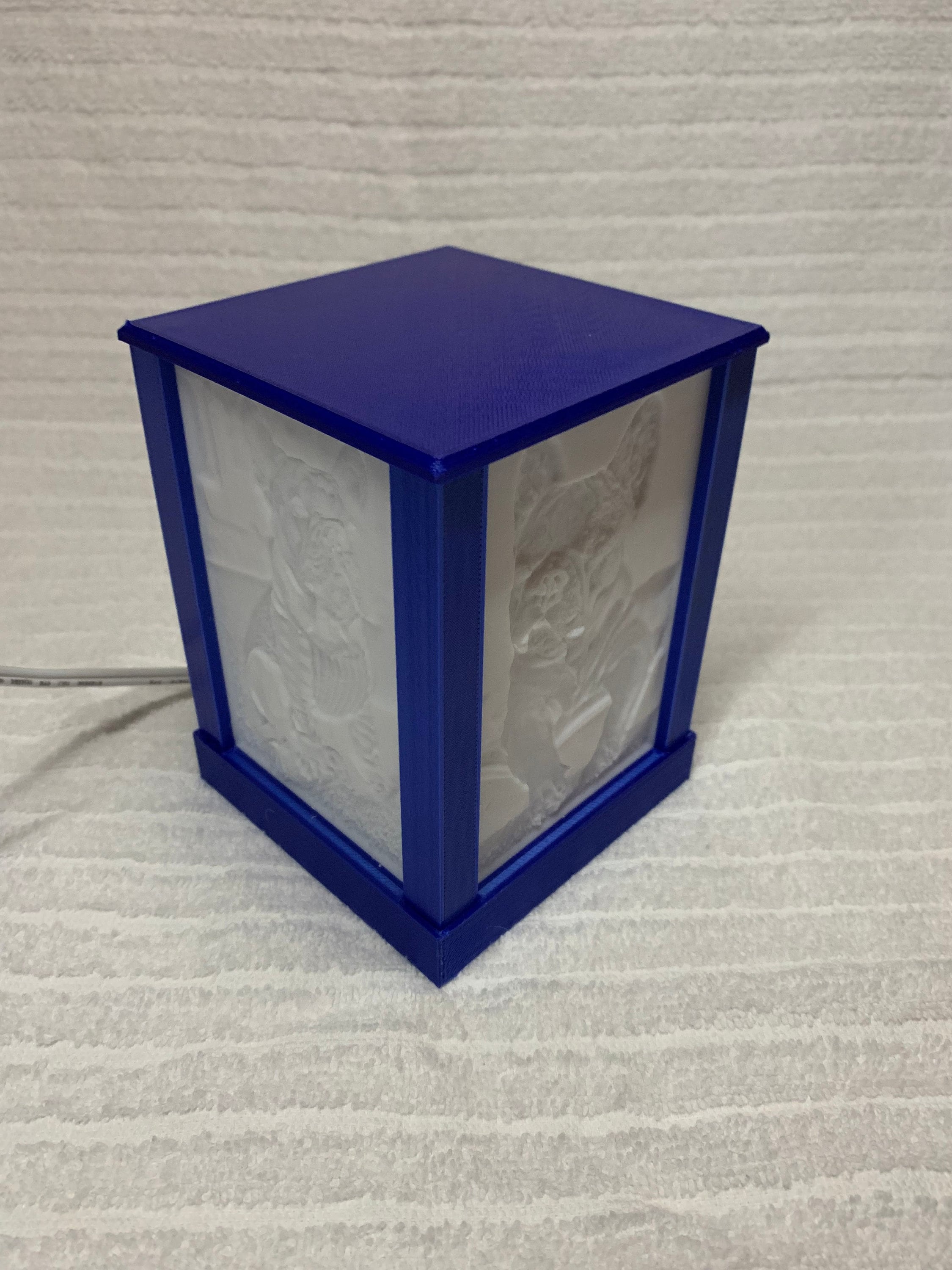 3D Printed Custom Lithophane Night-lite - Etsy