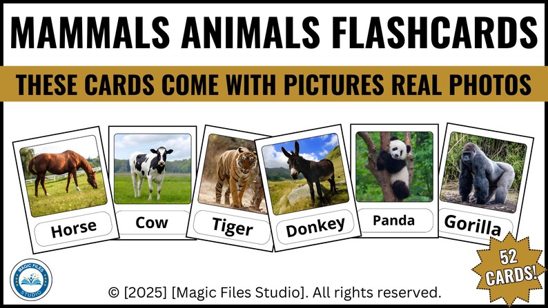 Mammals Animal Classification Flashcards, ESL Vocabulary Photo Picture ...