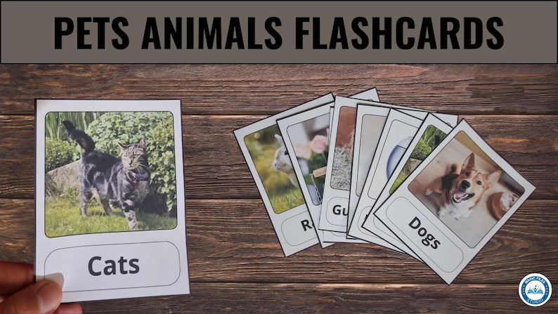 Pets Animals Classification Flashcards, ESL Vocabulary Photo Picture ...