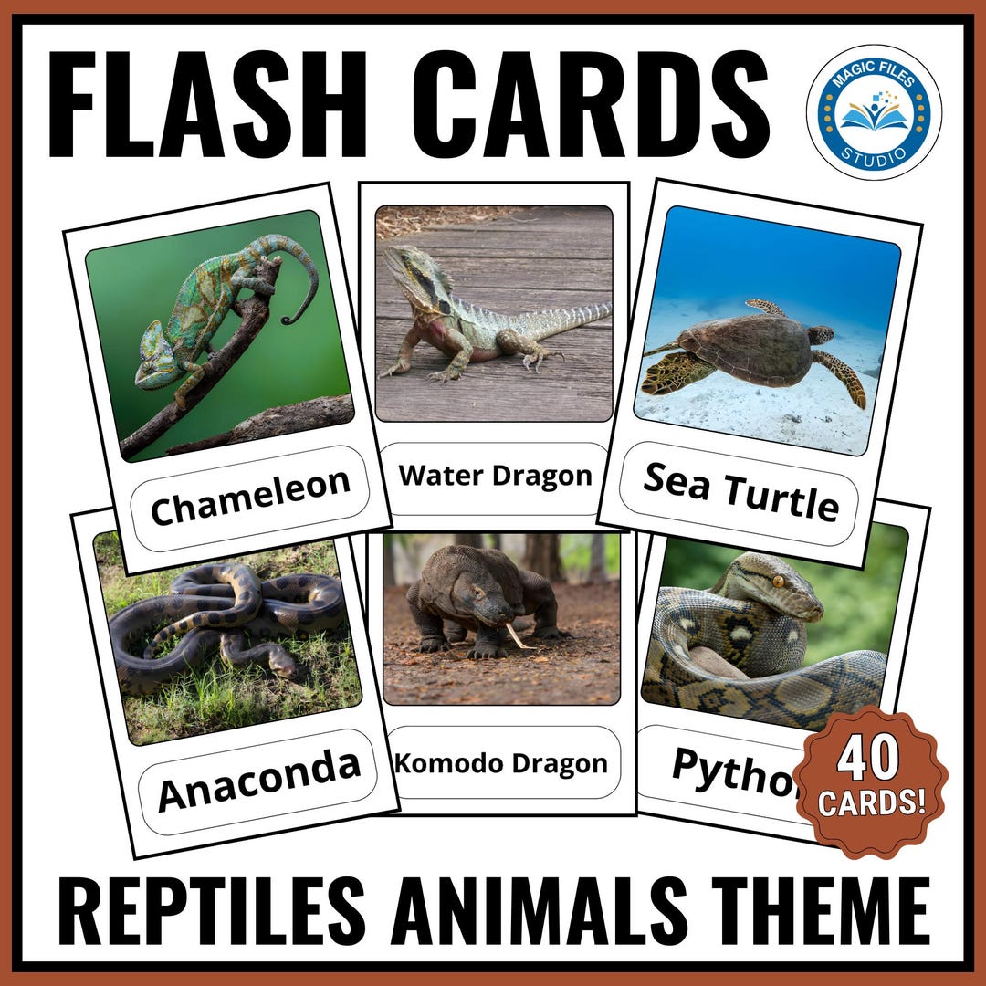 Reptile Flashcards, Montessori Animals Cards, Activity PDF, Realistic ...