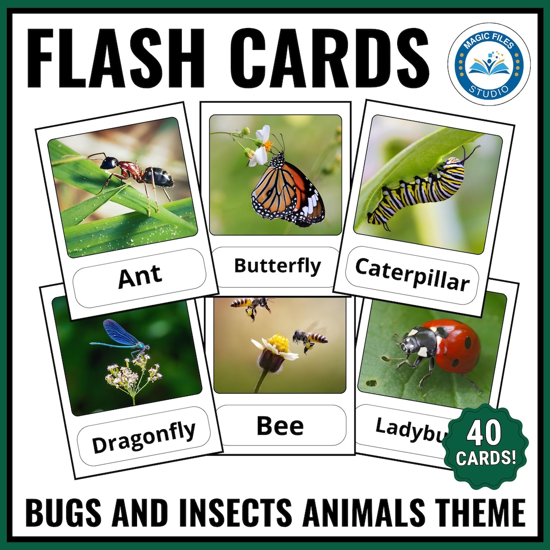 Insect and Bug Flashcards | Real Images | 3-part Montessori Cards ...