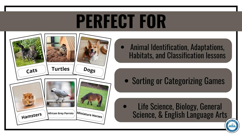 Pets Animals Classification Flashcards, ESL Vocabulary Photo Picture ...