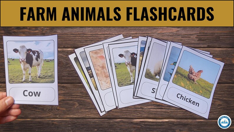 Farm Animal Flashcards | Montessori Cards | Cards With Real Photos ...