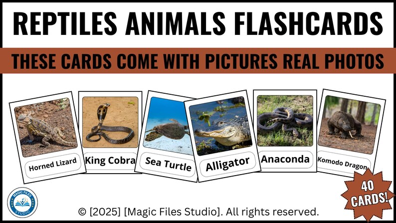 Reptile Flashcards, Montessori Animals Cards, Activity PDF, Realistic ...