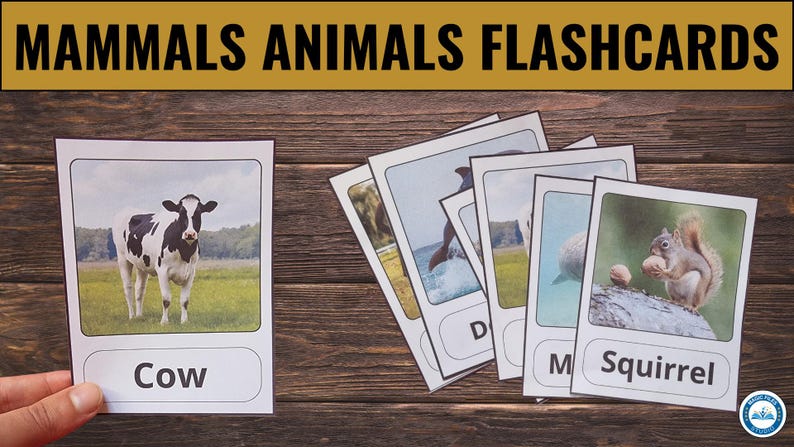 Mammals Animal Classification Flashcards, ESL Vocabulary Photo Picture ...