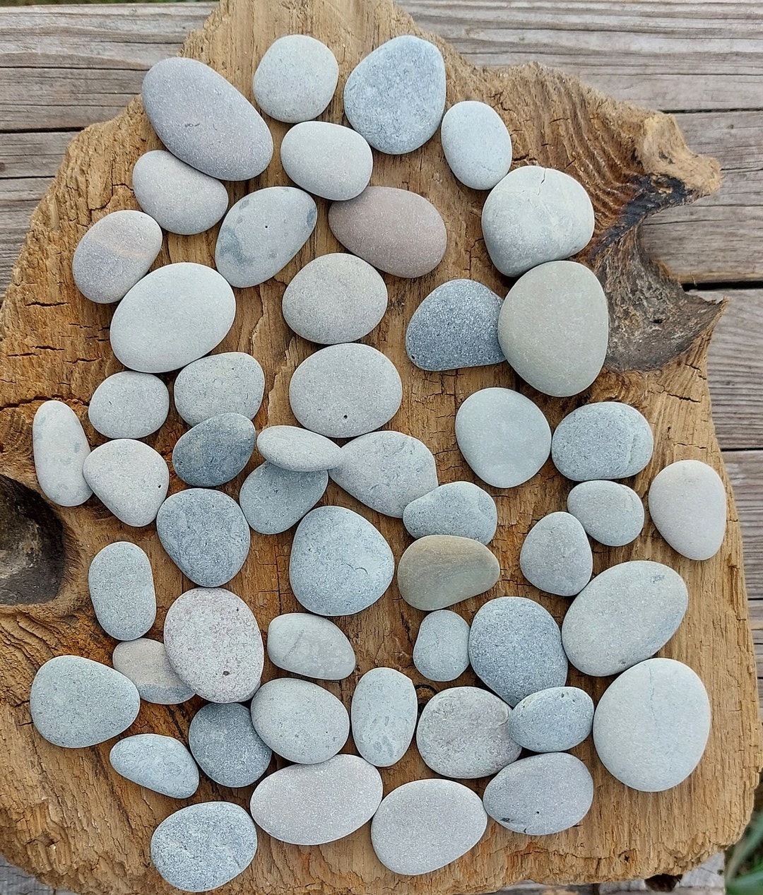 Set of Super Tiny/tiny Beach Pebbles 0.6-1/15-25 Mm Tiny - Etsy