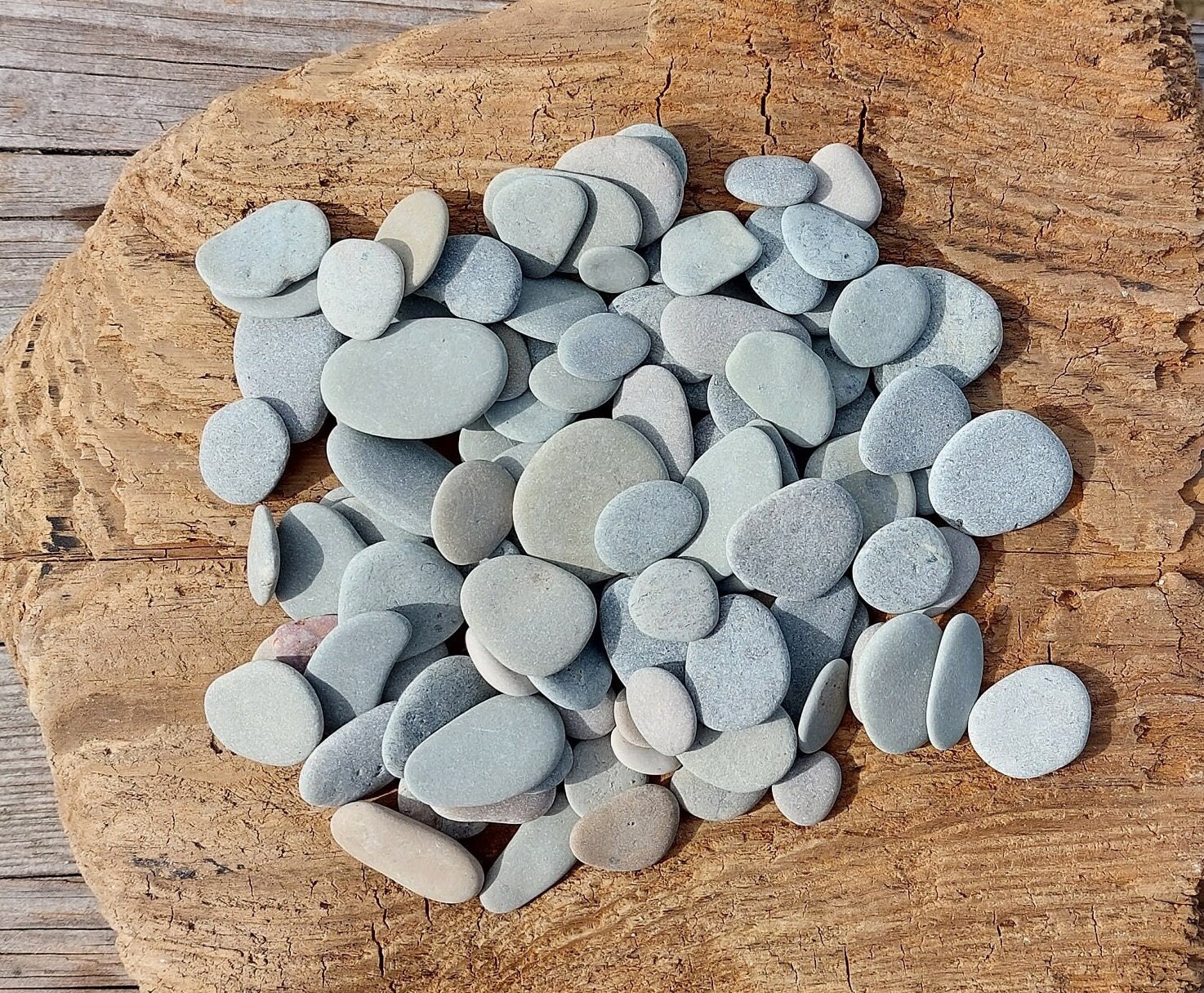 Selection of 100 Small Stones 0.5 1.1/1.4-3 Cm Tiny/small Sea Stones ...