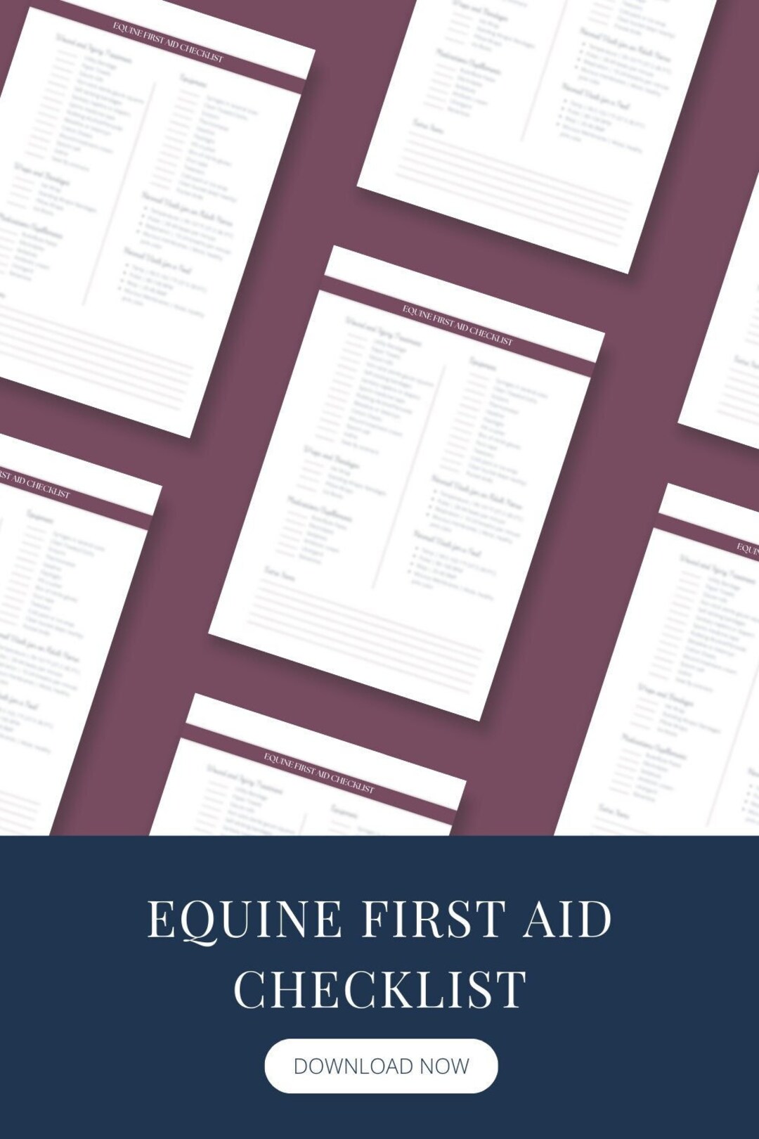Equine First Aid Checklist - Etsy