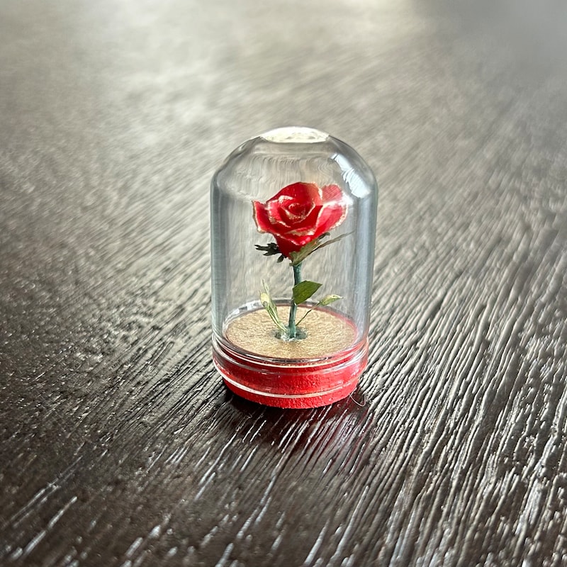 Rose in Glass Dome - Etsy