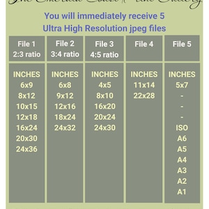 Kitchen Measurement Conversion Chart Farmhouse Wall Decor Measuring ...