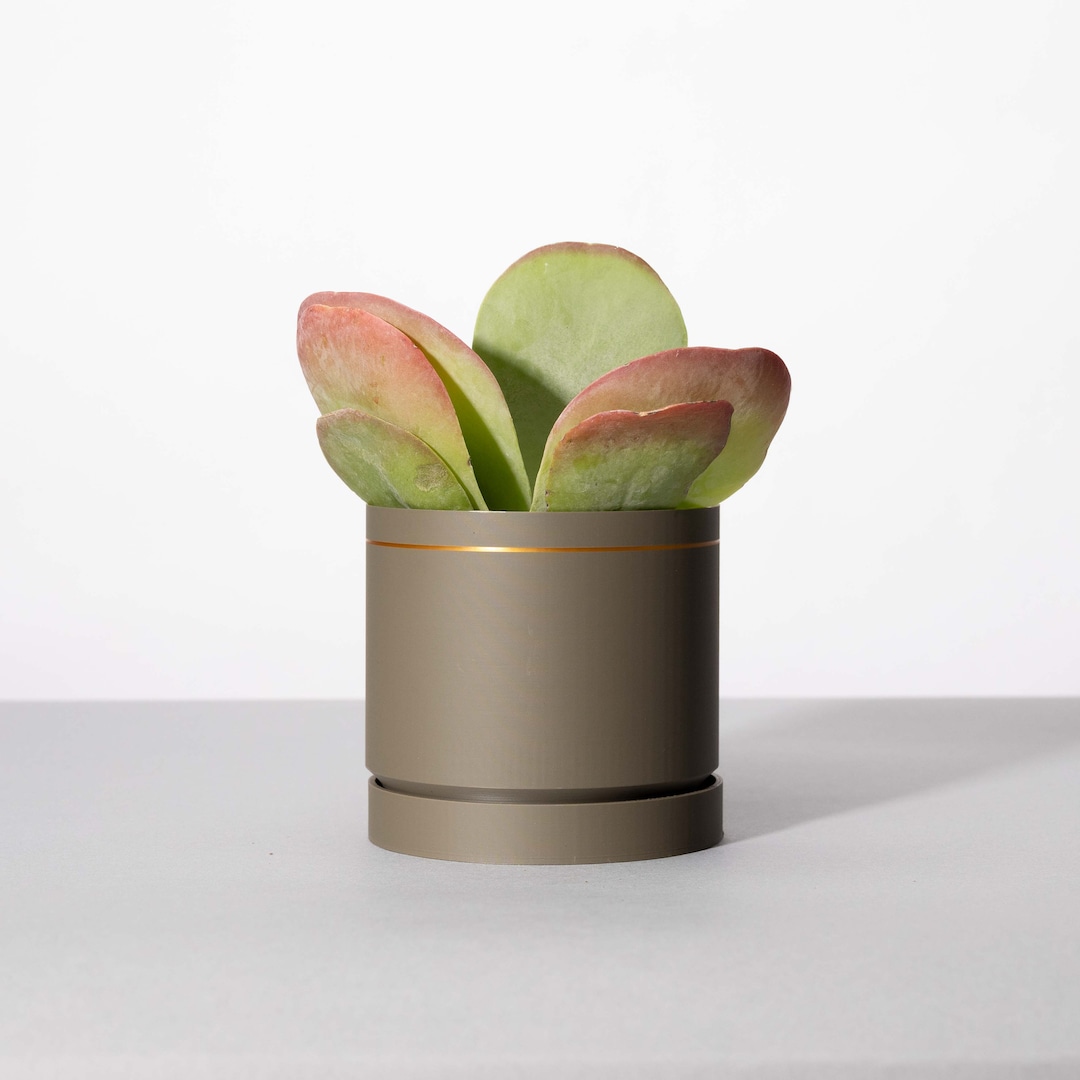The Grove Planter Pot in Ash W/gold Trim Accent - Custom 3D Printed Pot ...