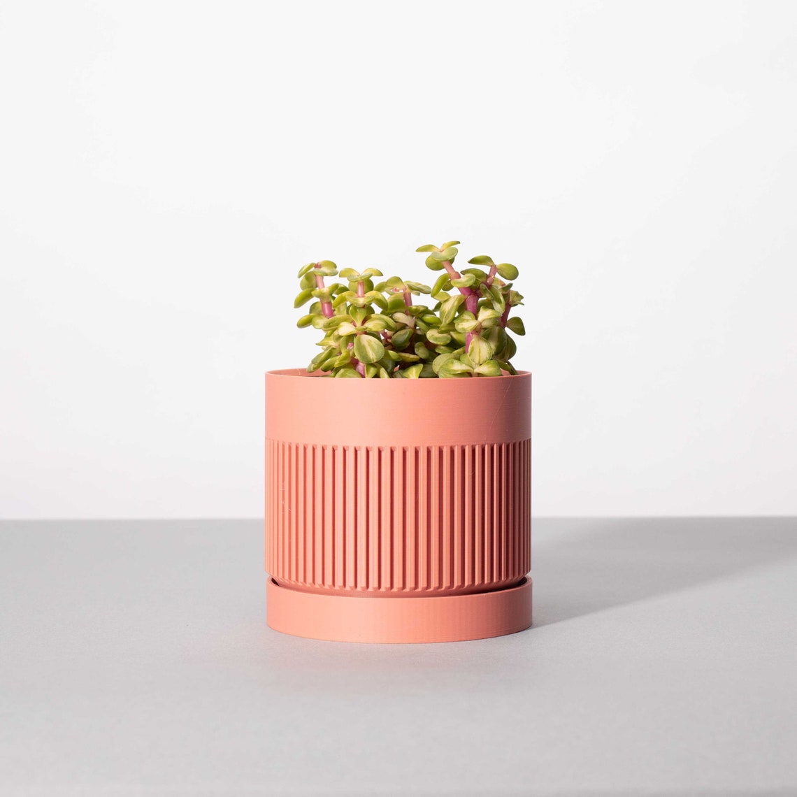 The Grove Planter Pot in Coral - Textured Finish - Custom 3D Printed ...