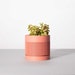 The Grove Planter Pot in Coral - Textured Finish - Custom 3D Printed ...