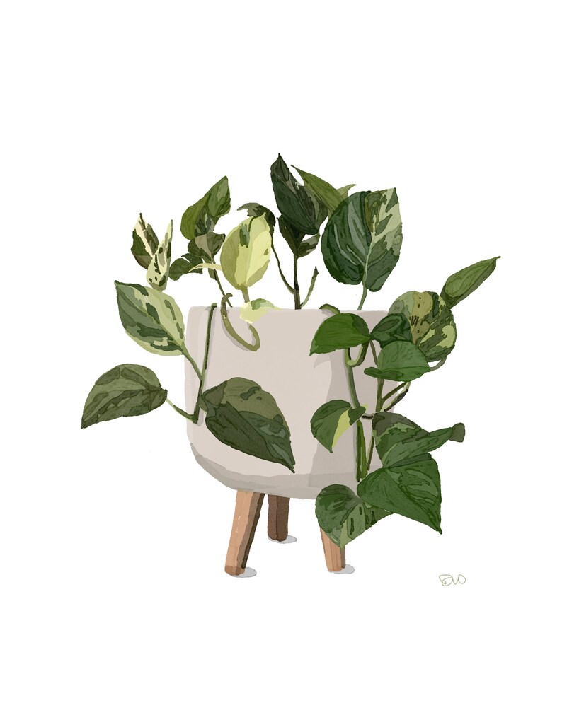 DIGITAL DOWNLOAD: Pothos Plant - Etsy UK