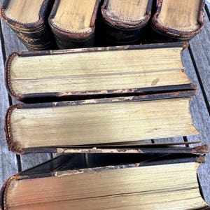 Antique 1898 Set 7 of Historical Books Muhlbach Novels/ Leather Bound ...